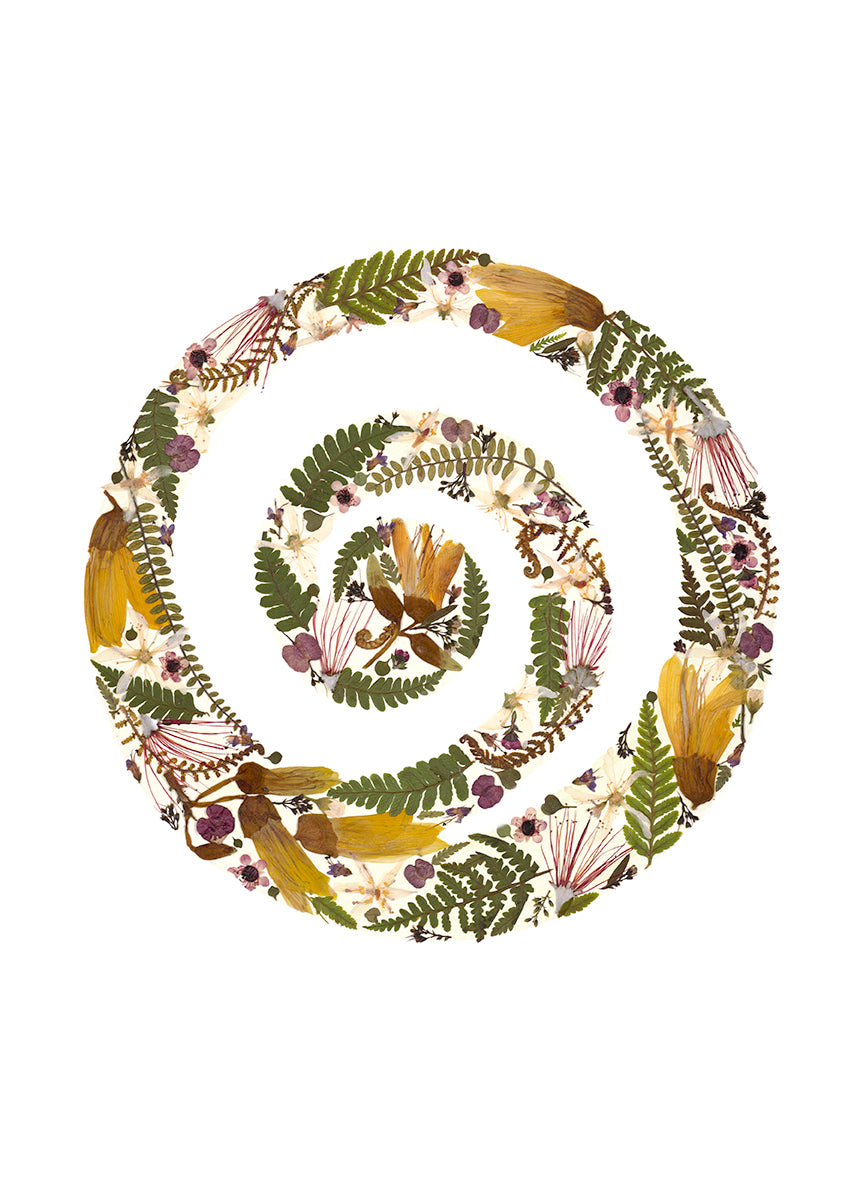 Art Print - Koru in NZ natives – wayswithwildflowers