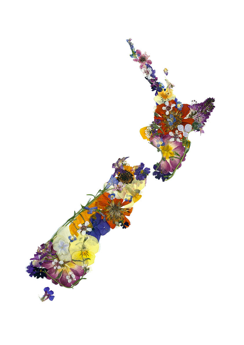 Art Prints - NZ in flowers – wayswithwildflowers